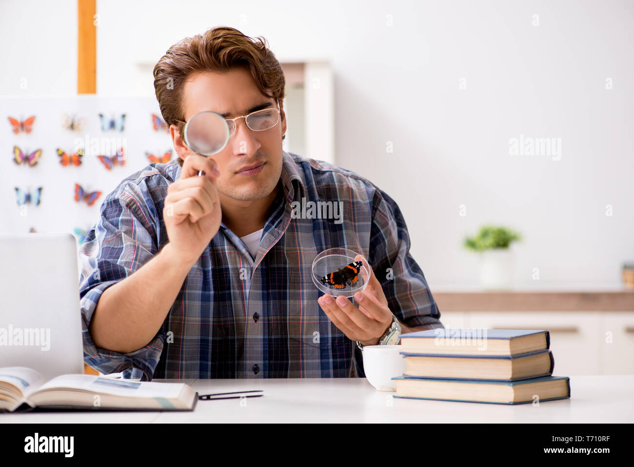 Student entomologist studying new species of butterflies Stock Photo ...