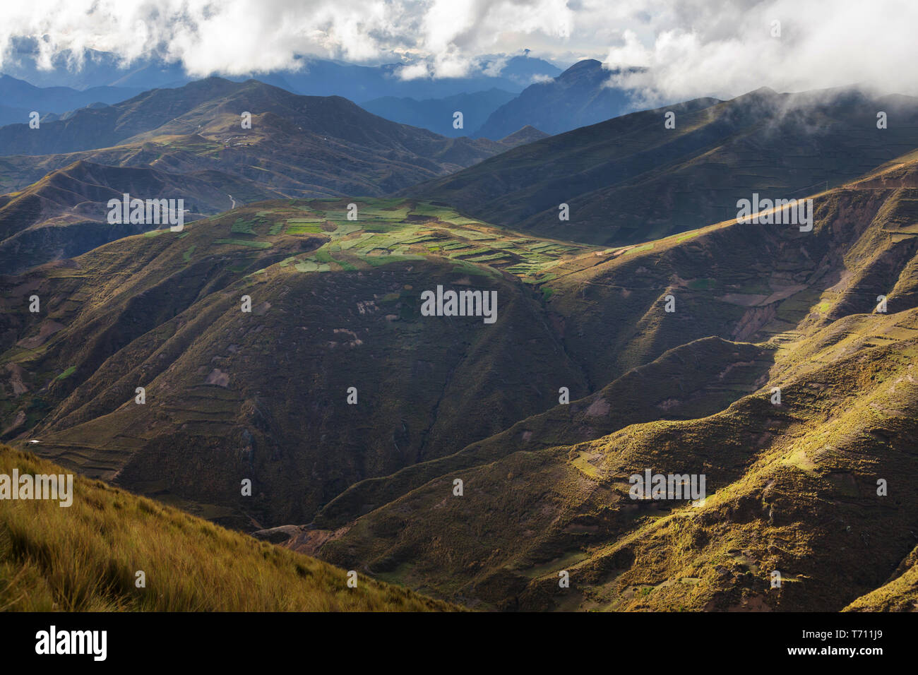 Fields in Peru Stock Photo - Alamy