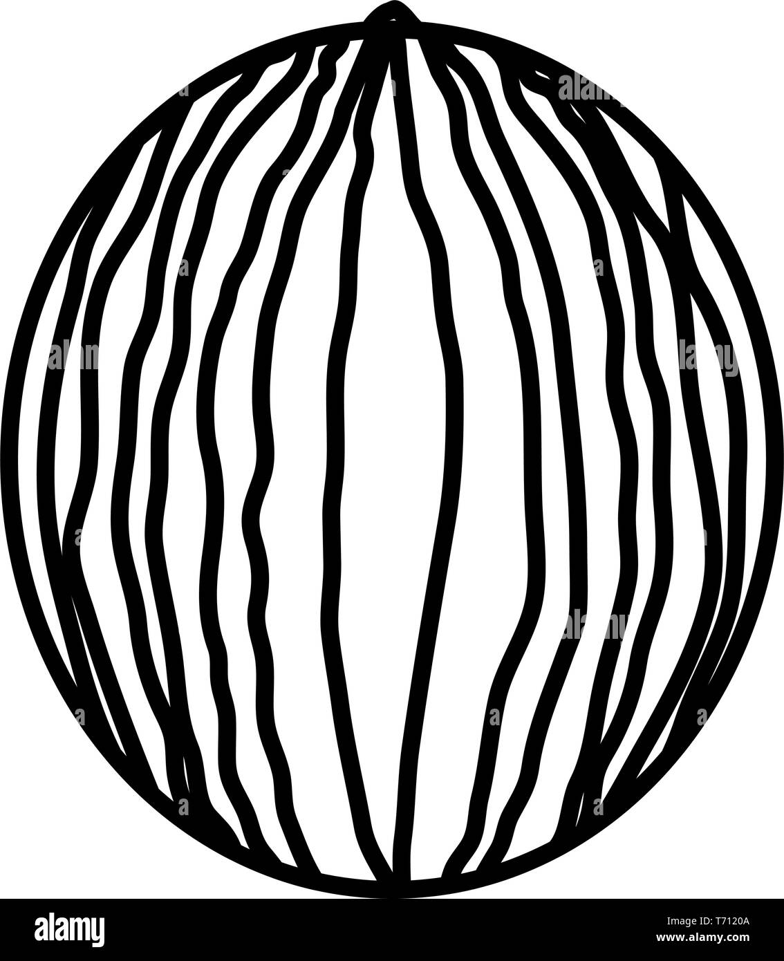 fresh watermelon fruit icon vector illustration design Stock Vector ...