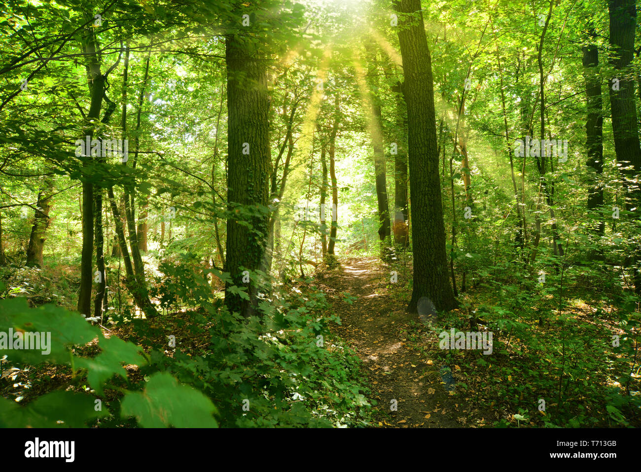 668 hi-res stock photography and images - Alamy