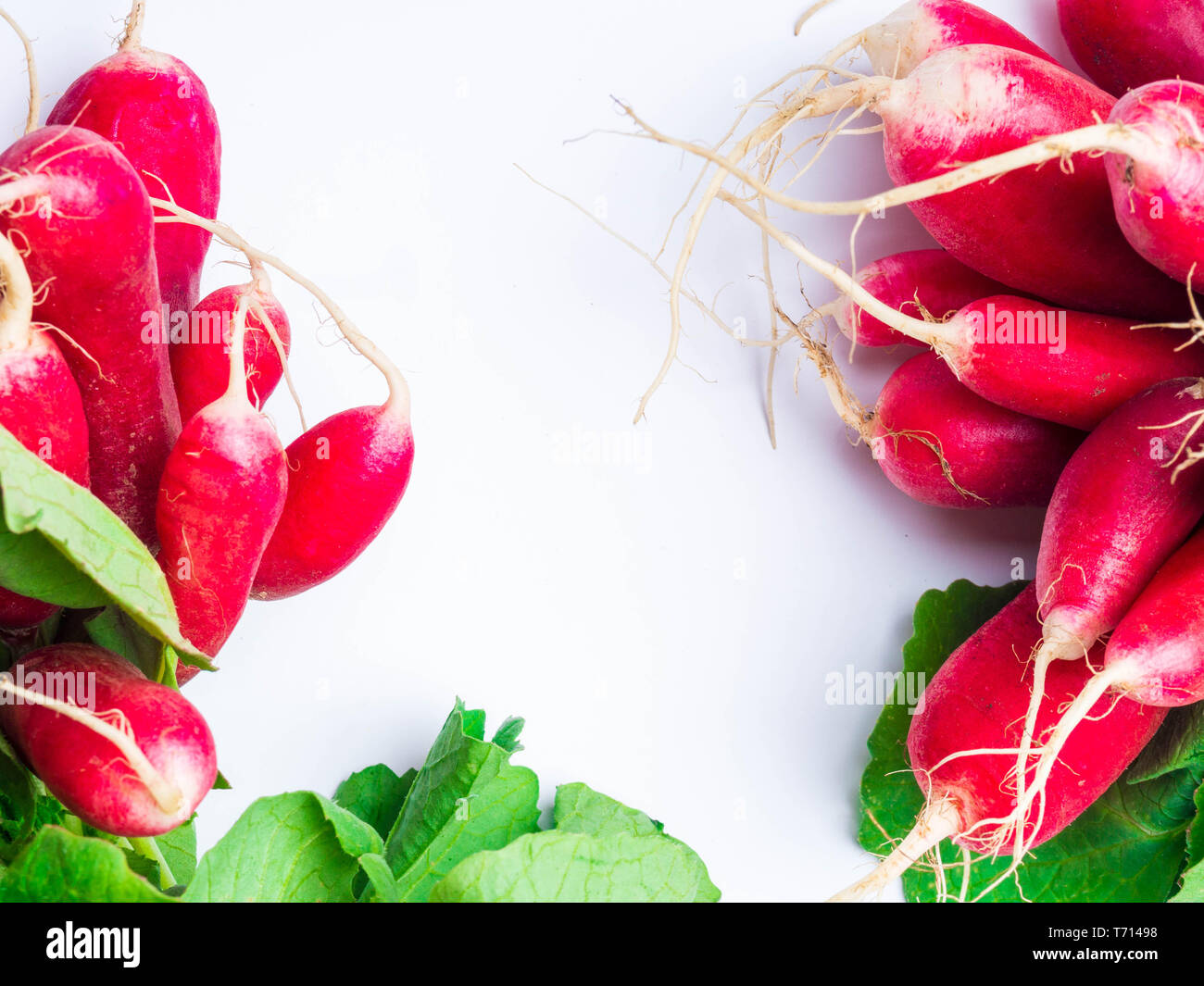 Fresh bunch of radish on white table Stock Photo - Alamy