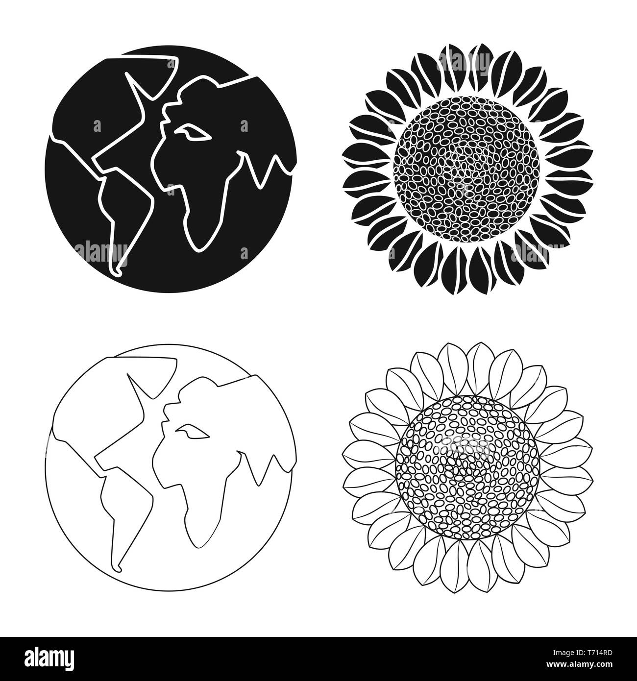 globe,sunflower,world,sunshine,earth,light,planet,heat,geography ...