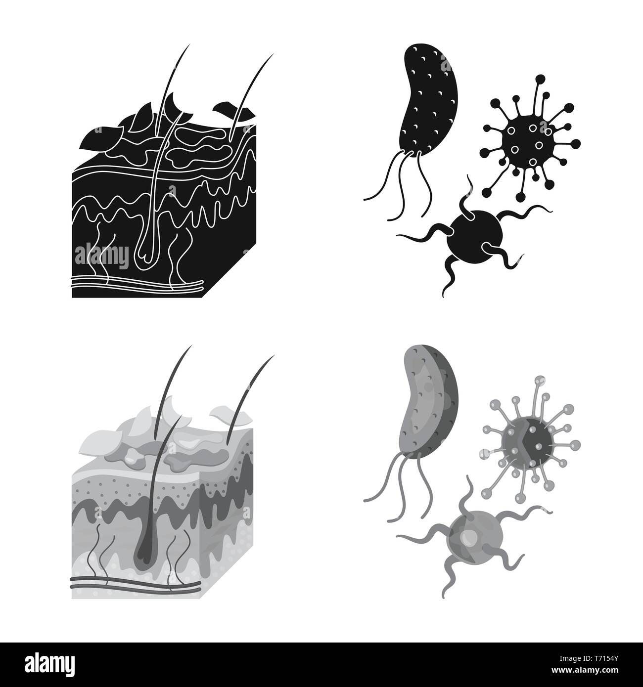 Skin Adipose Tissue Cut Out Stock Images And Pictures Alamy