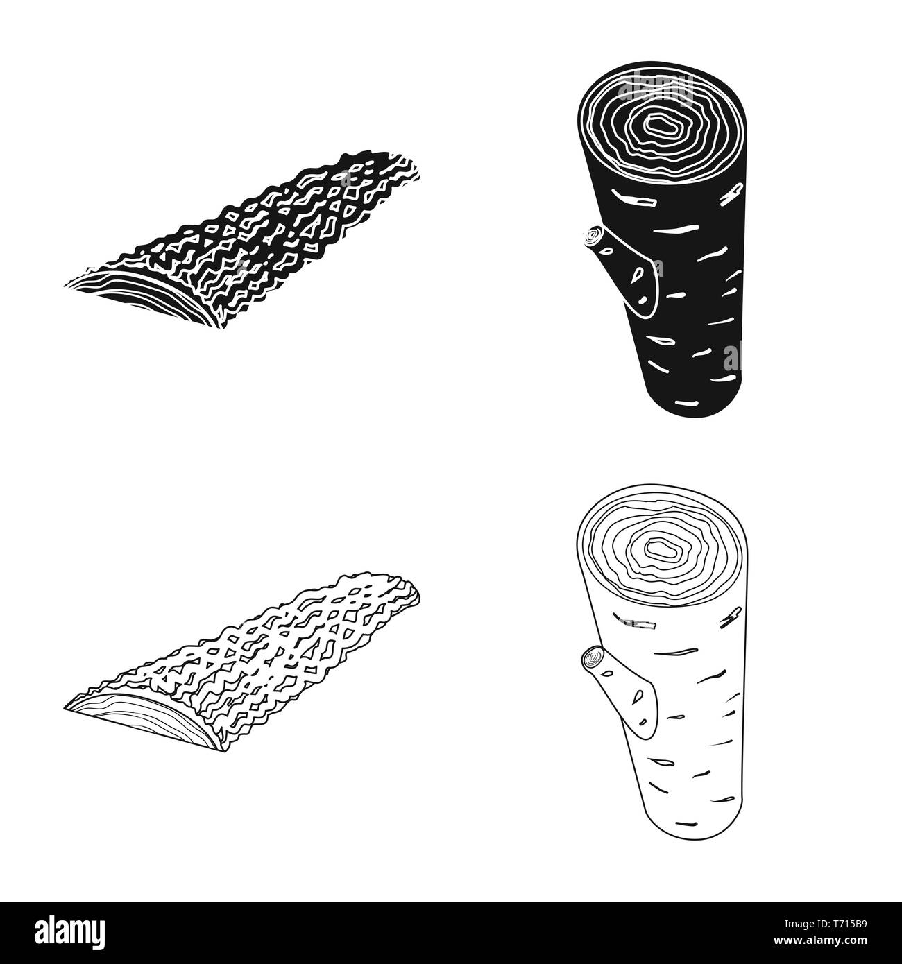 Beech tree bark Stock Vector Images - Alamy