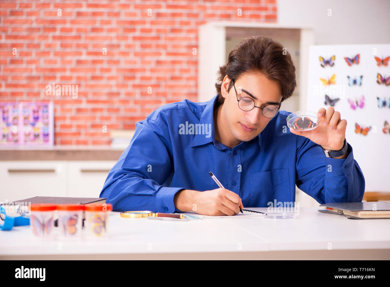 Student entomologist studying new species of butterflies Stock Photo ...