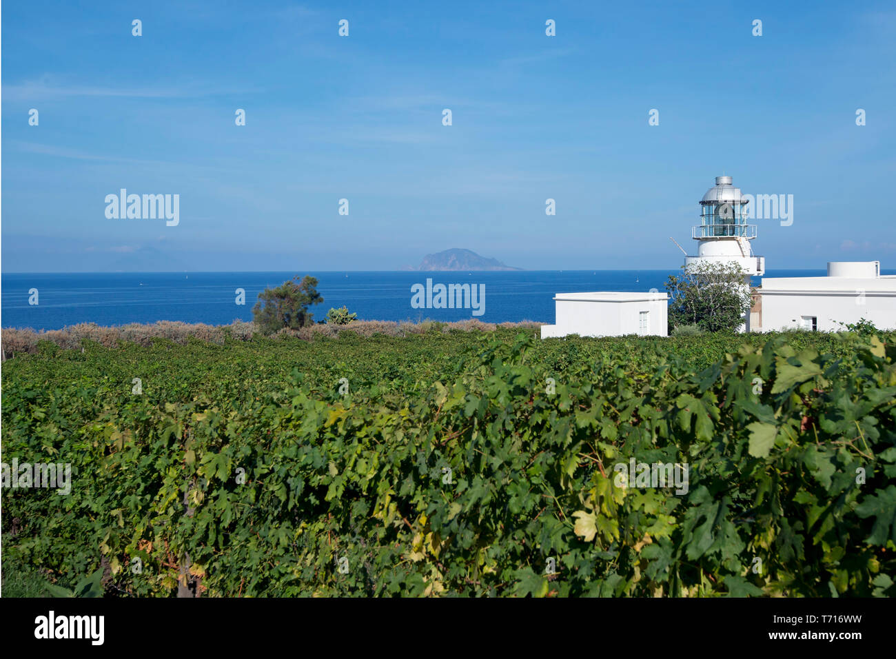 Vineyard, Capofaro resort, Salina, Aeolian Islands, Sicily, Italy ...