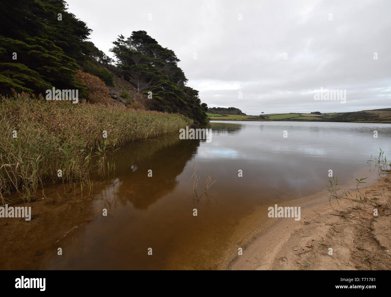 The Loe Pool Porthlevan Cornwall Stock Photo - Alamy