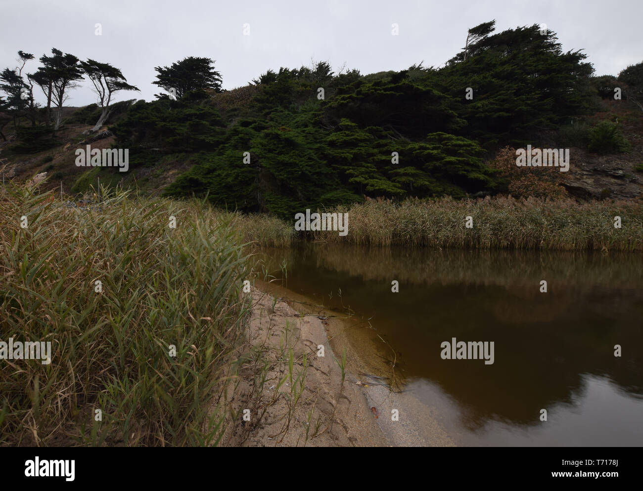 Loe Pool High Resolution Stock Photography and Images - Alamy