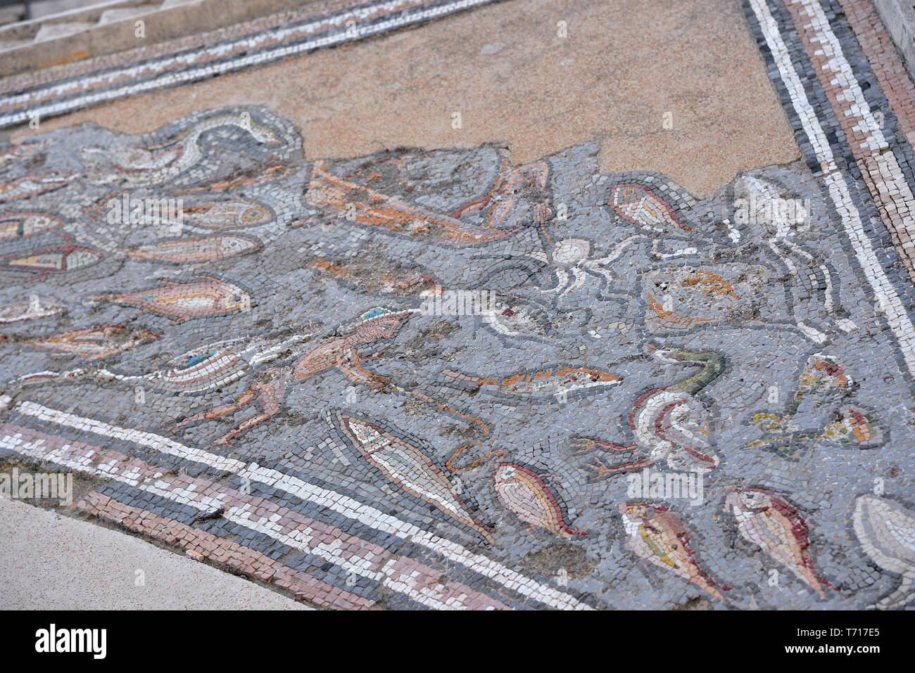 Crete mosaic hi-res stock photography and images - Alamy