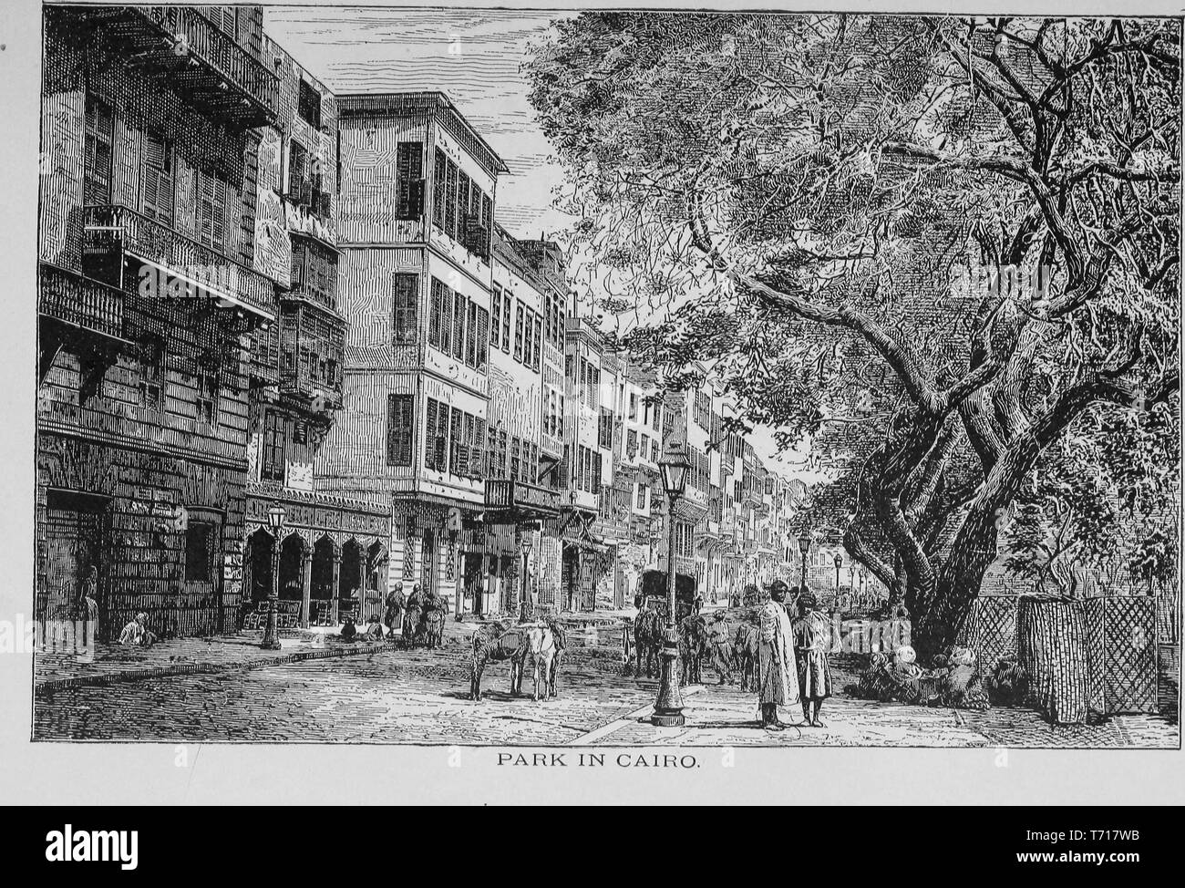 Egypt in 1800s hi-res stock photography and images - Alamy