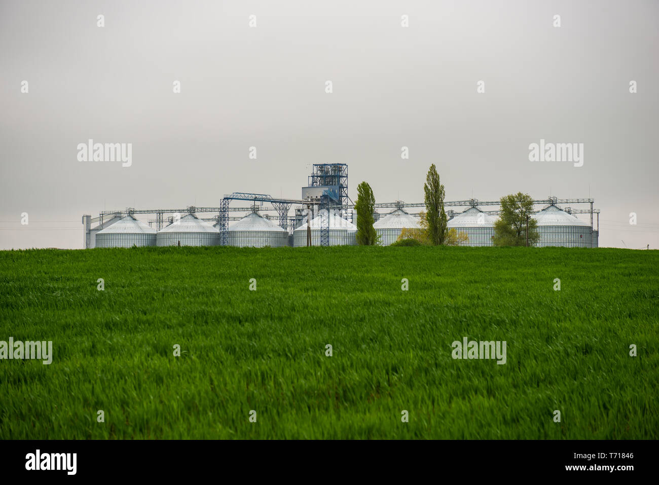 Grain silos ukraine hi-res stock photography and images - Alamy