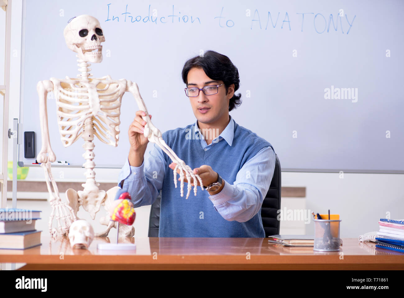 Teaching model human spinal hi-res stock photography and images - Alamy