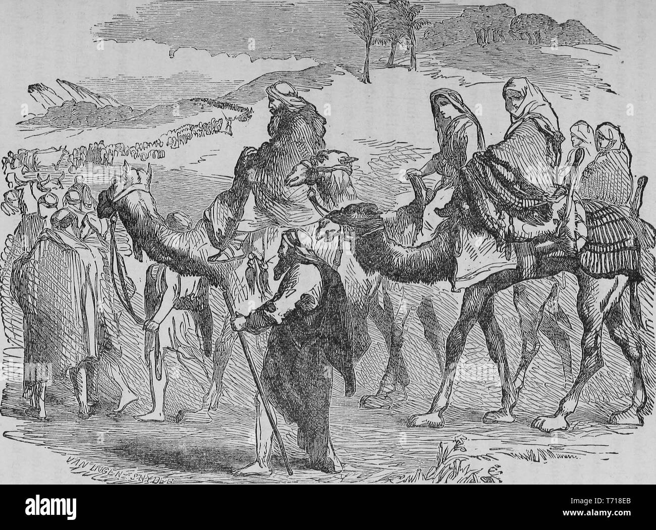 Engraving of the patriarchal caravan, from the book 'The Pictorial ...