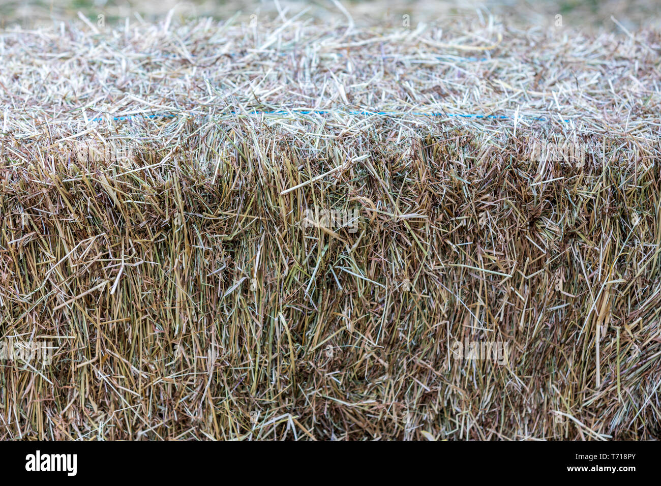 Hay bale - close up Stock Photo - Alamy