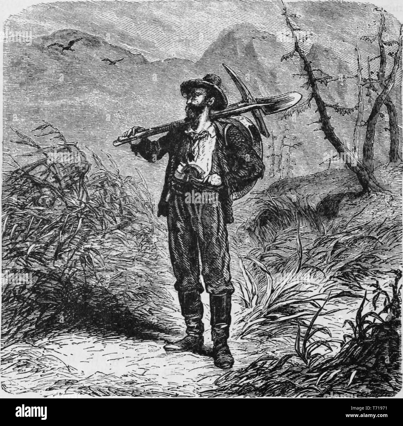 Engraving of californian gold finder hi-res stock photography and ...