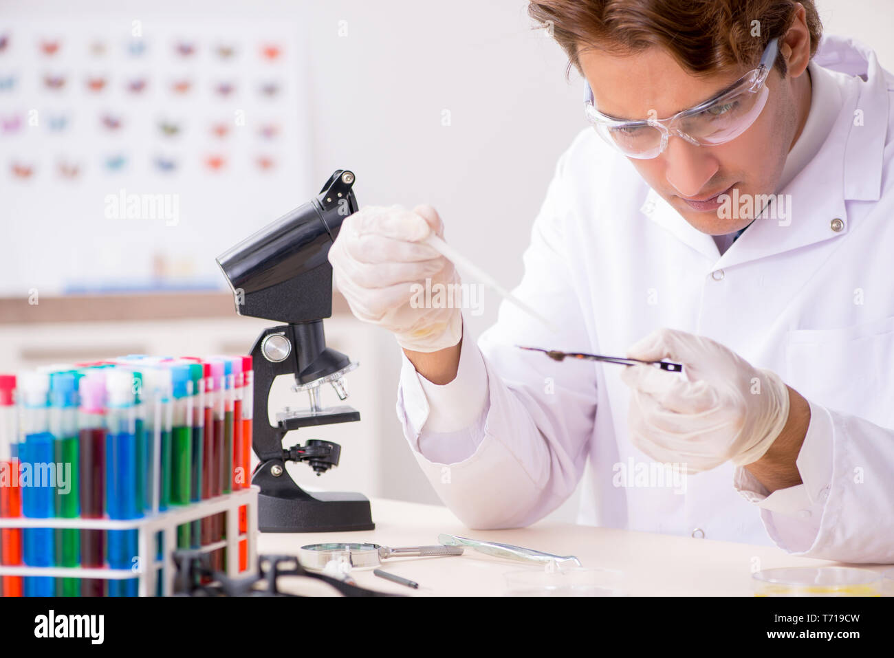 Scientist entomologist studying new butterfly species Stock Photo - Alamy