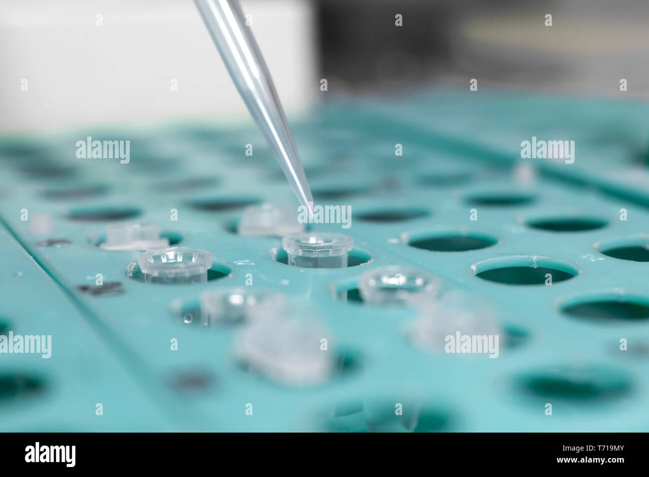 Closeup laboratory assistant analyzing a blood sample using ...
