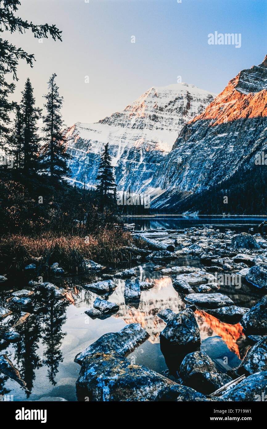 Mount Edith Cavell and Cavell Lake at Sunrise Stock Photo - Alamy