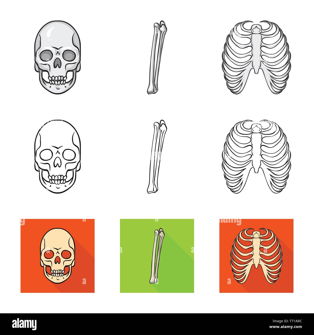 skull,femur,rib,death,cage,monster,leg,xray,evil,knee,body,horror,tibia ...