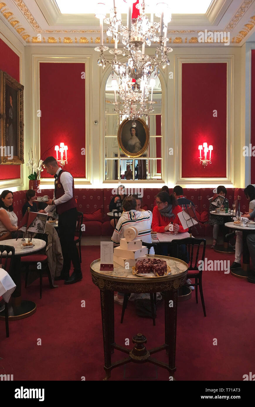 Interior of the traditional coffee house Sacher in Vienna - Austria ...