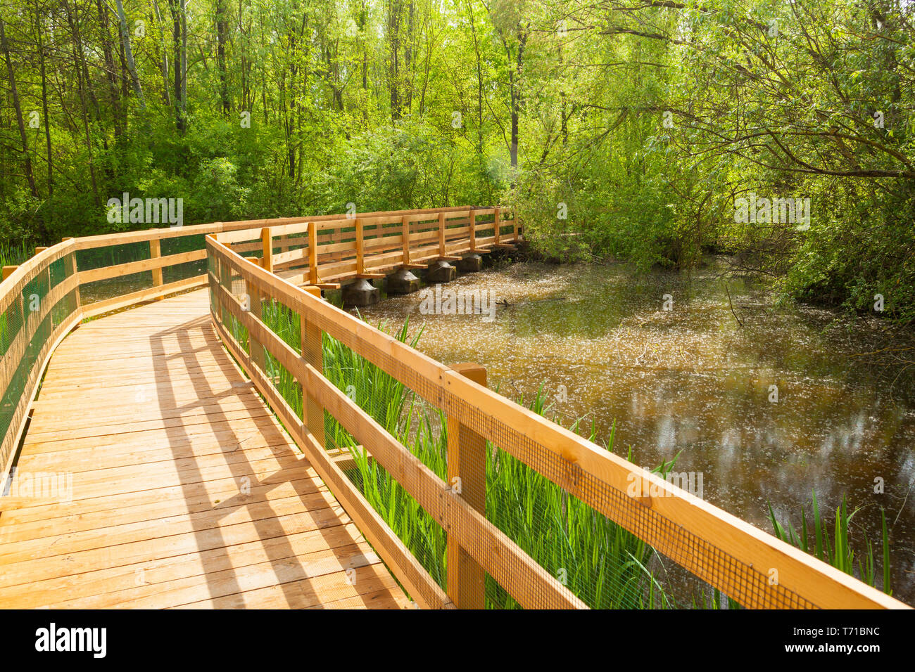 Wooden architecture forest hi-res stock photography and images - Alamy