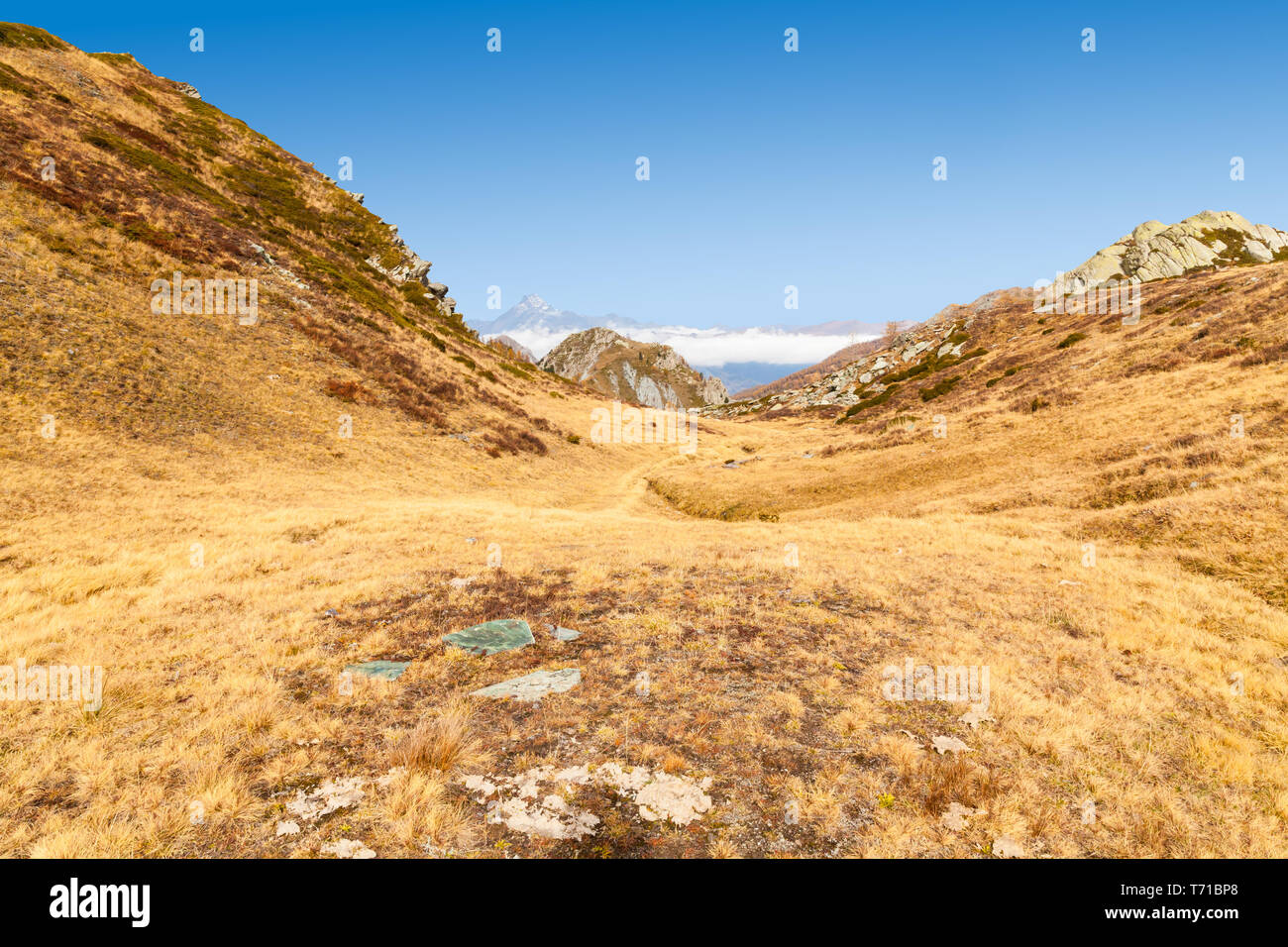 Alpine guide hi-res stock photography and images - Alamy