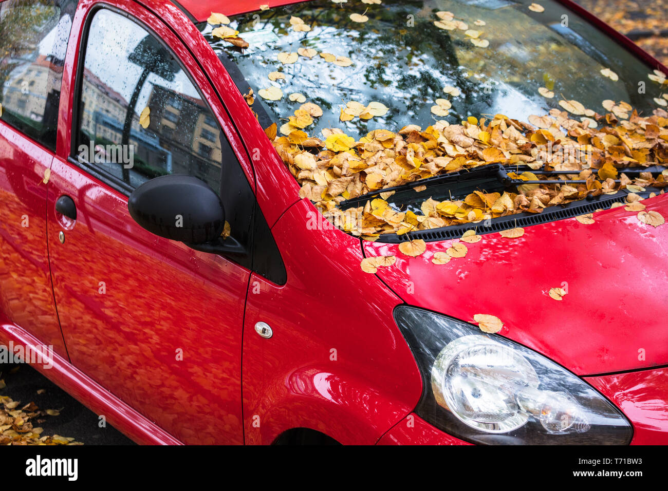 Car covered with autumn leaves Stock Photo - Alamy