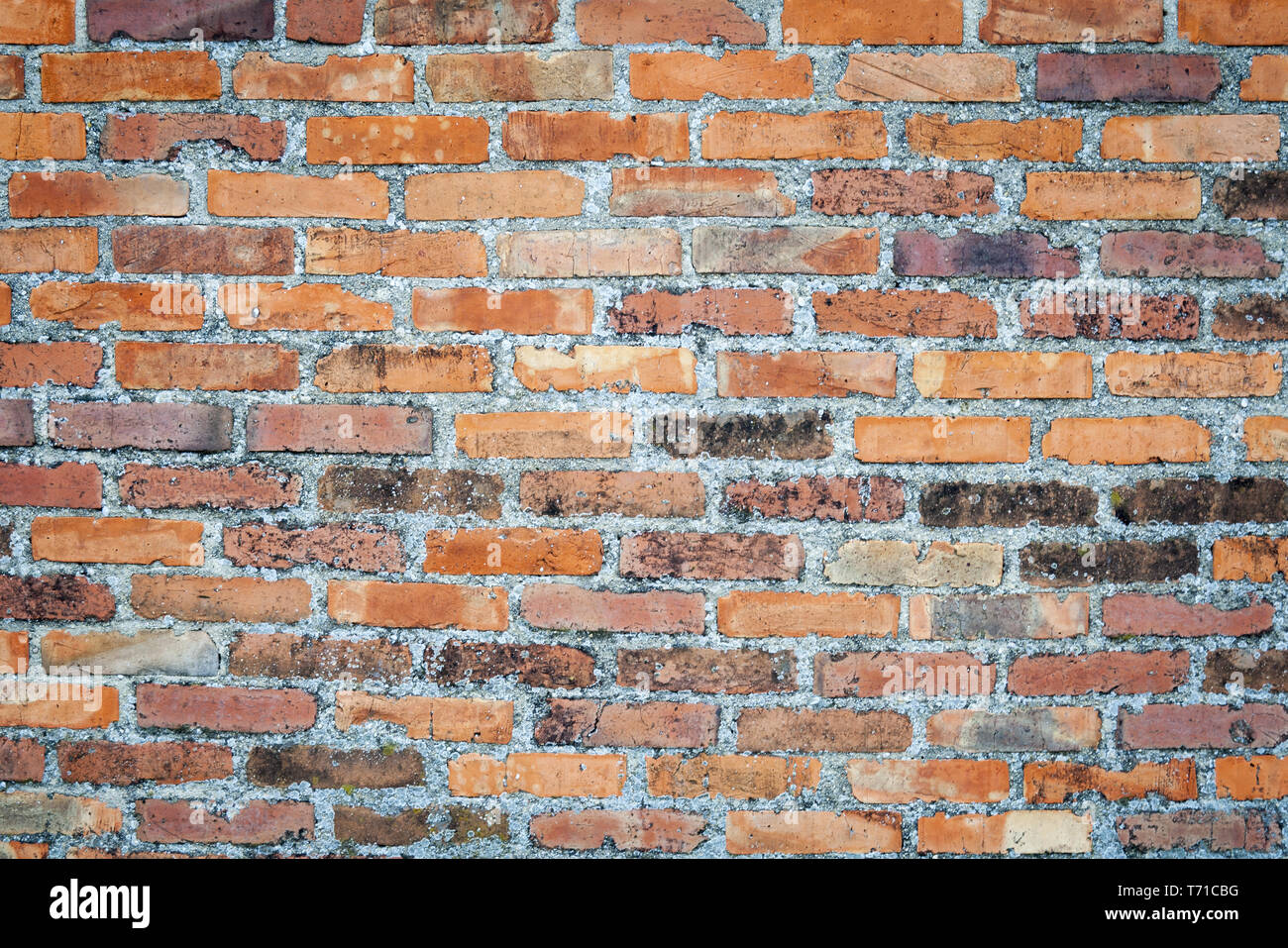 Regular bricks hi-res stock photography and images - Alamy