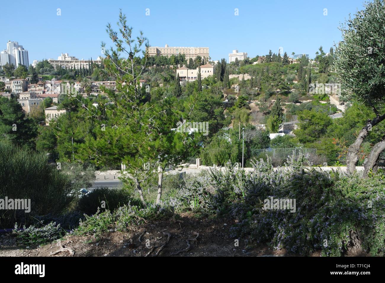 Green winter in Jerusalem, Israel Stock Photo - Alamy