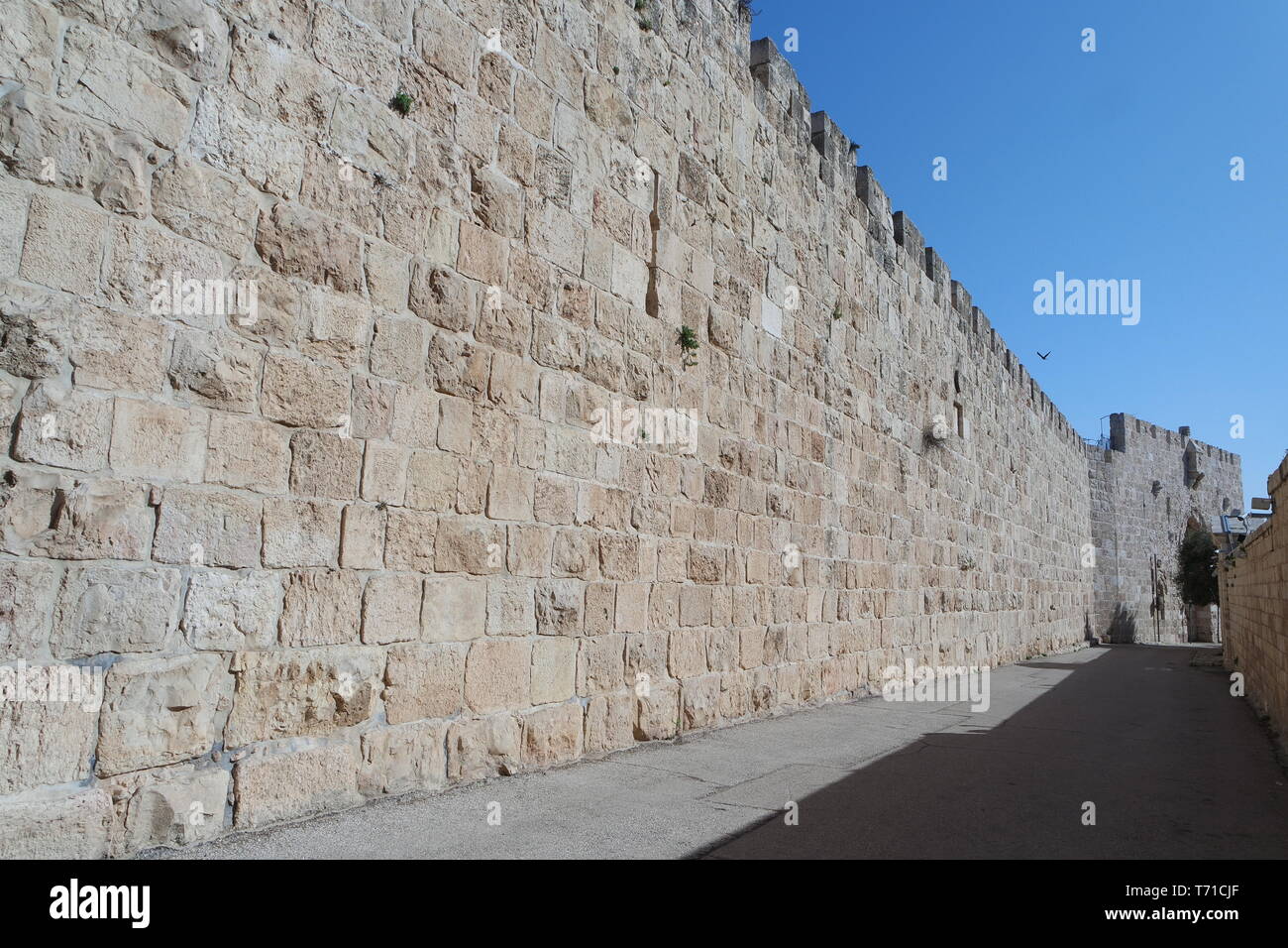 Old city wall in Jerusalem, Israel Stock Photo - Alamy
