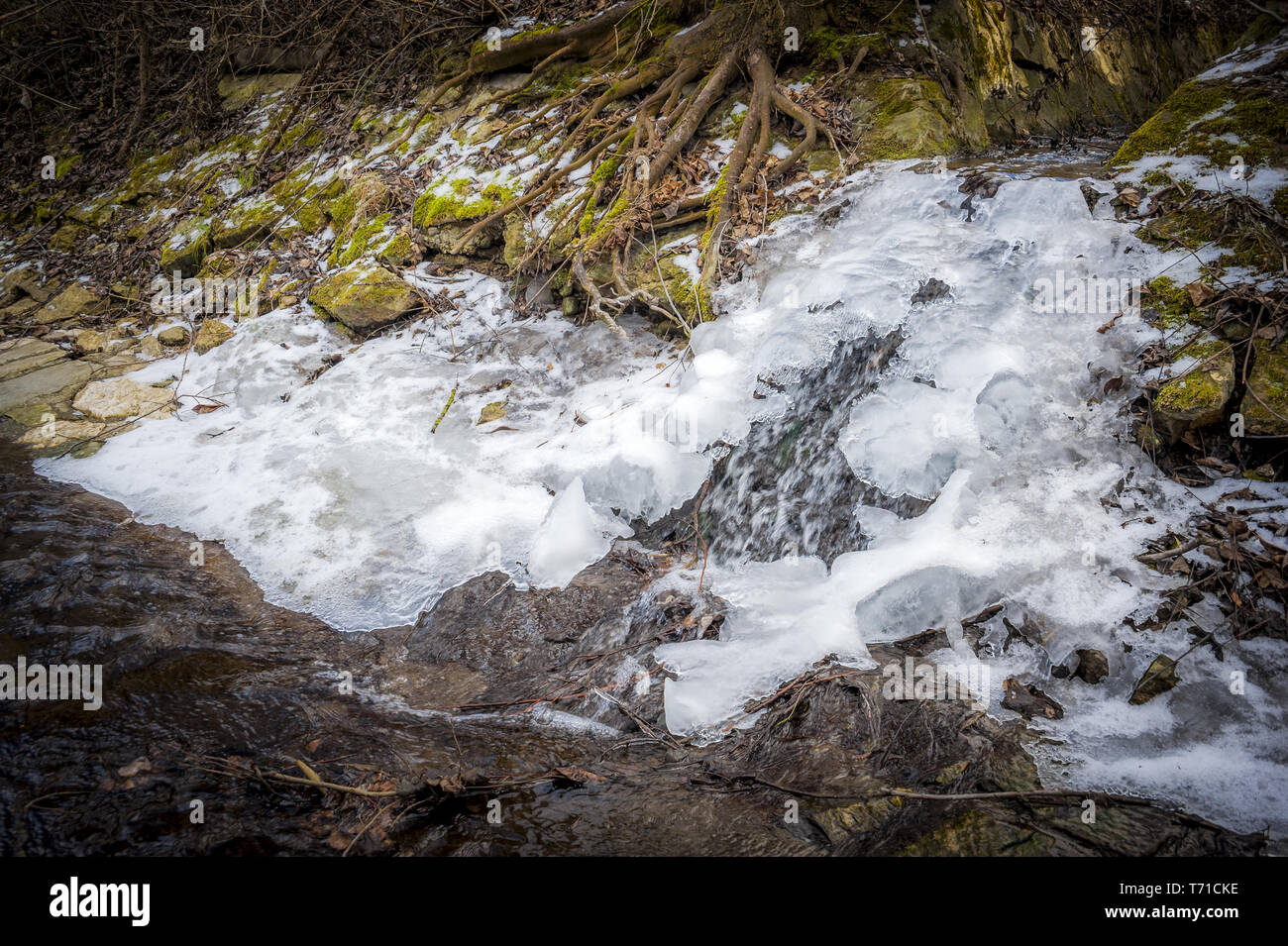 Small mountain stream in green hi-res stock photography and images - Alamy
