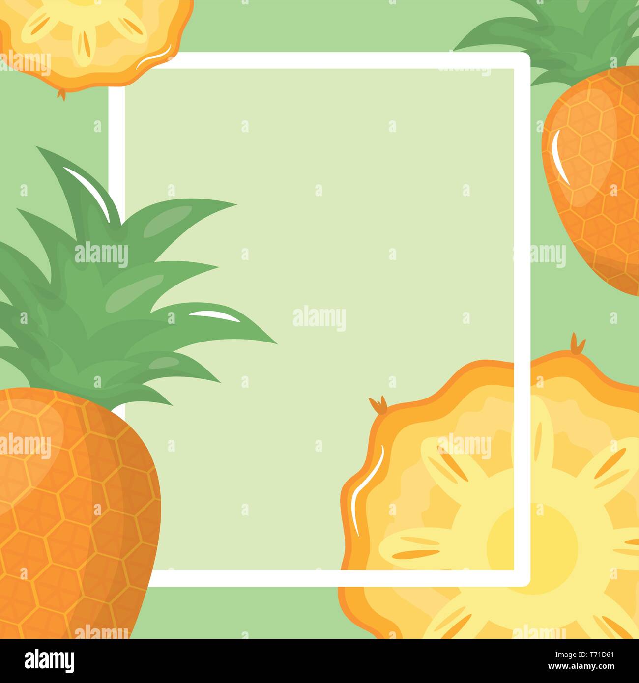 fresh pineapple fruit square frame vector illustration design Stock ...