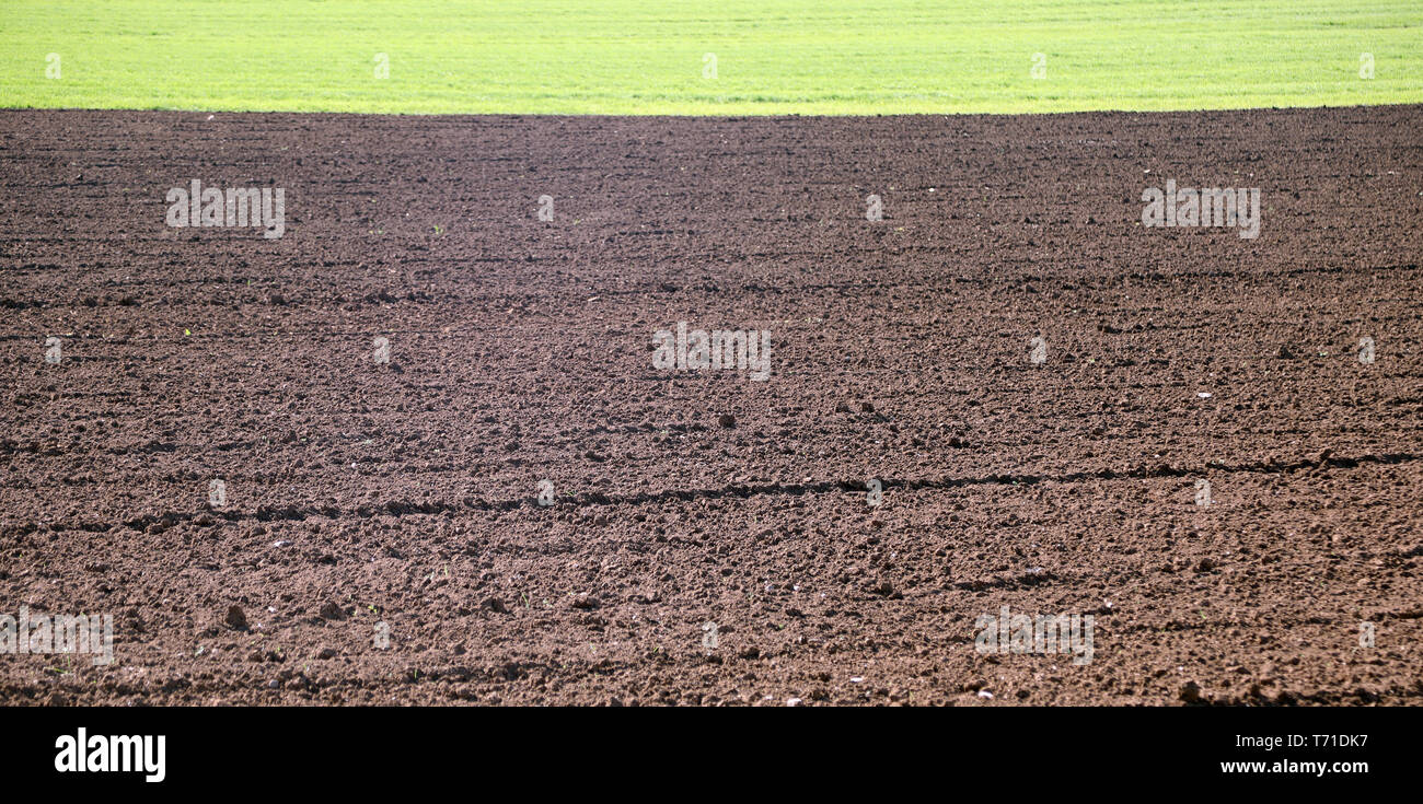 tilled field in the field ready for sowing cereal in the spring Stock ...