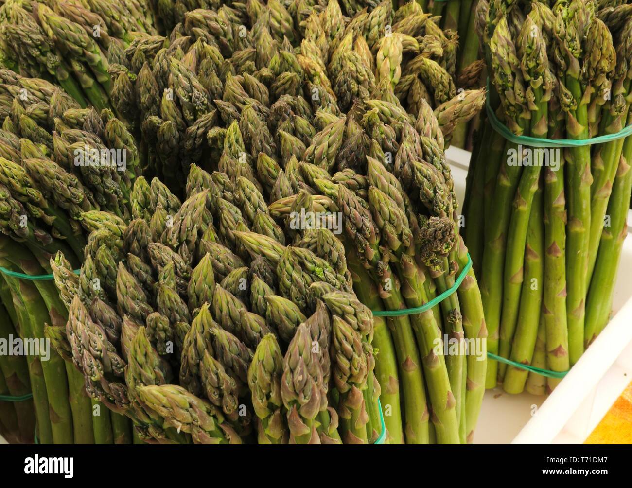 bundles of tips of green asparagus for sale at market Stock Photo - Alamy