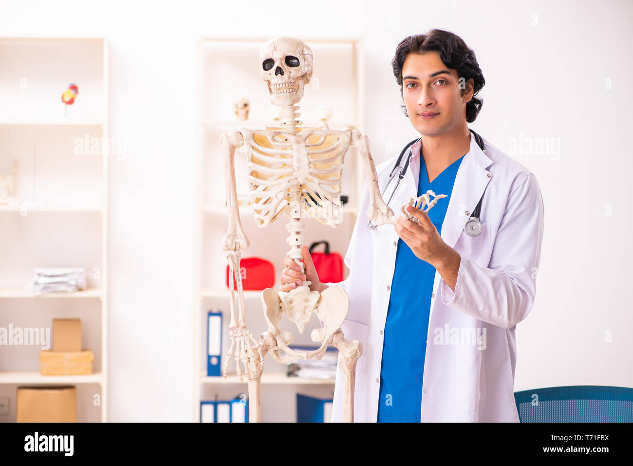 Doctor holding human skeleton model hi-res stock photography and images ...
