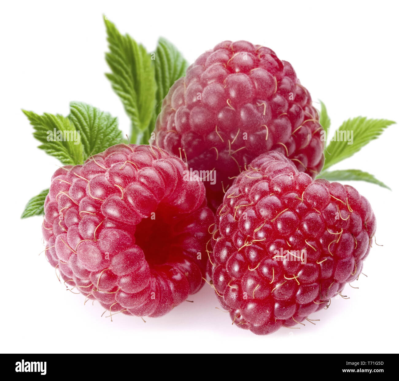 picture of fresh red berries Stock Photo - Alamy