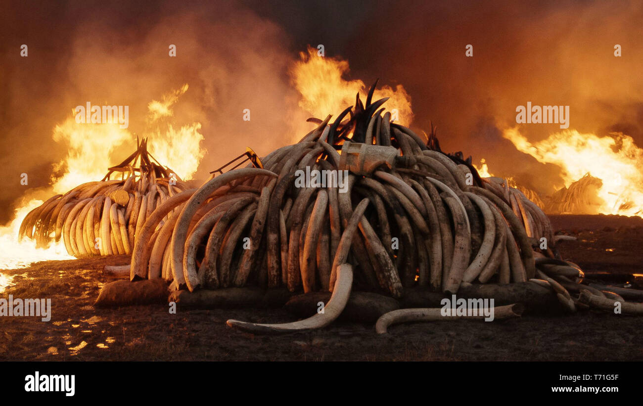 Anthropocene hi-res stock photography and images - Alamy