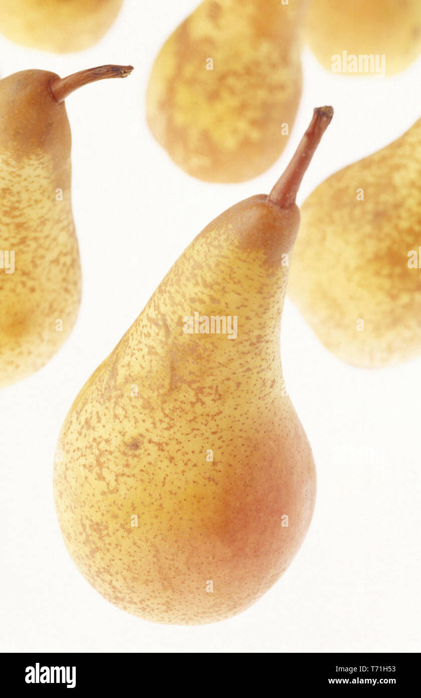 fresh natural pear picture Stock Photo - Alamy