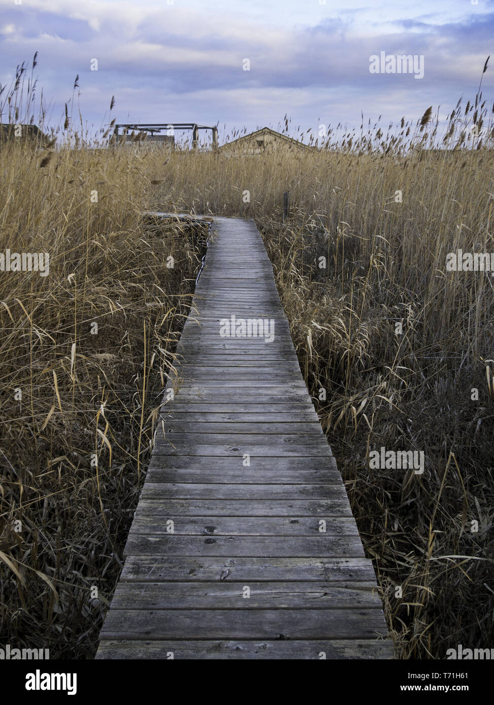 Marsh cabin hi-res stock photography and images - Alamy