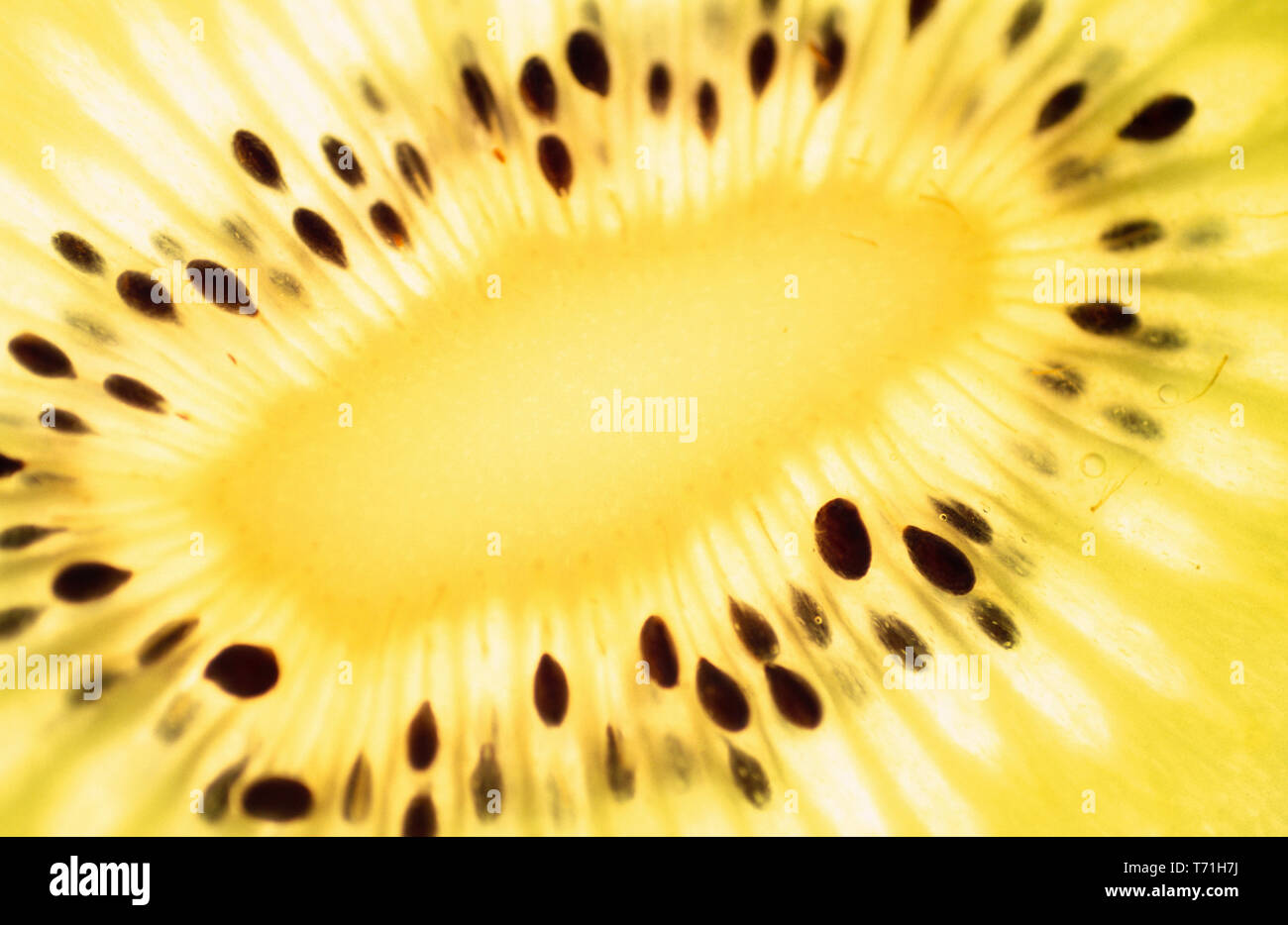 fresh natural kiwi picture Stock Photo - Alamy