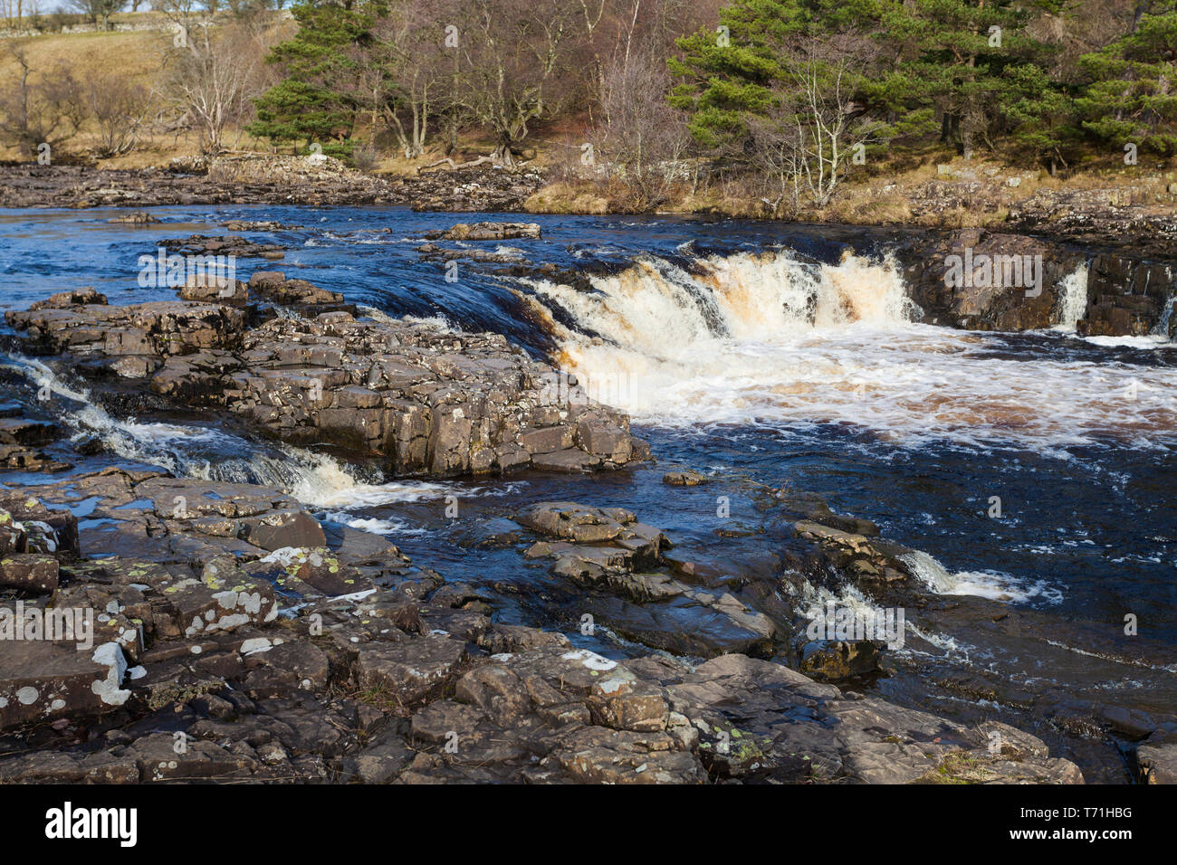Waterfalls at Low Force,Bowlees,Teesdale,England,UK Stock Photo - Alamy