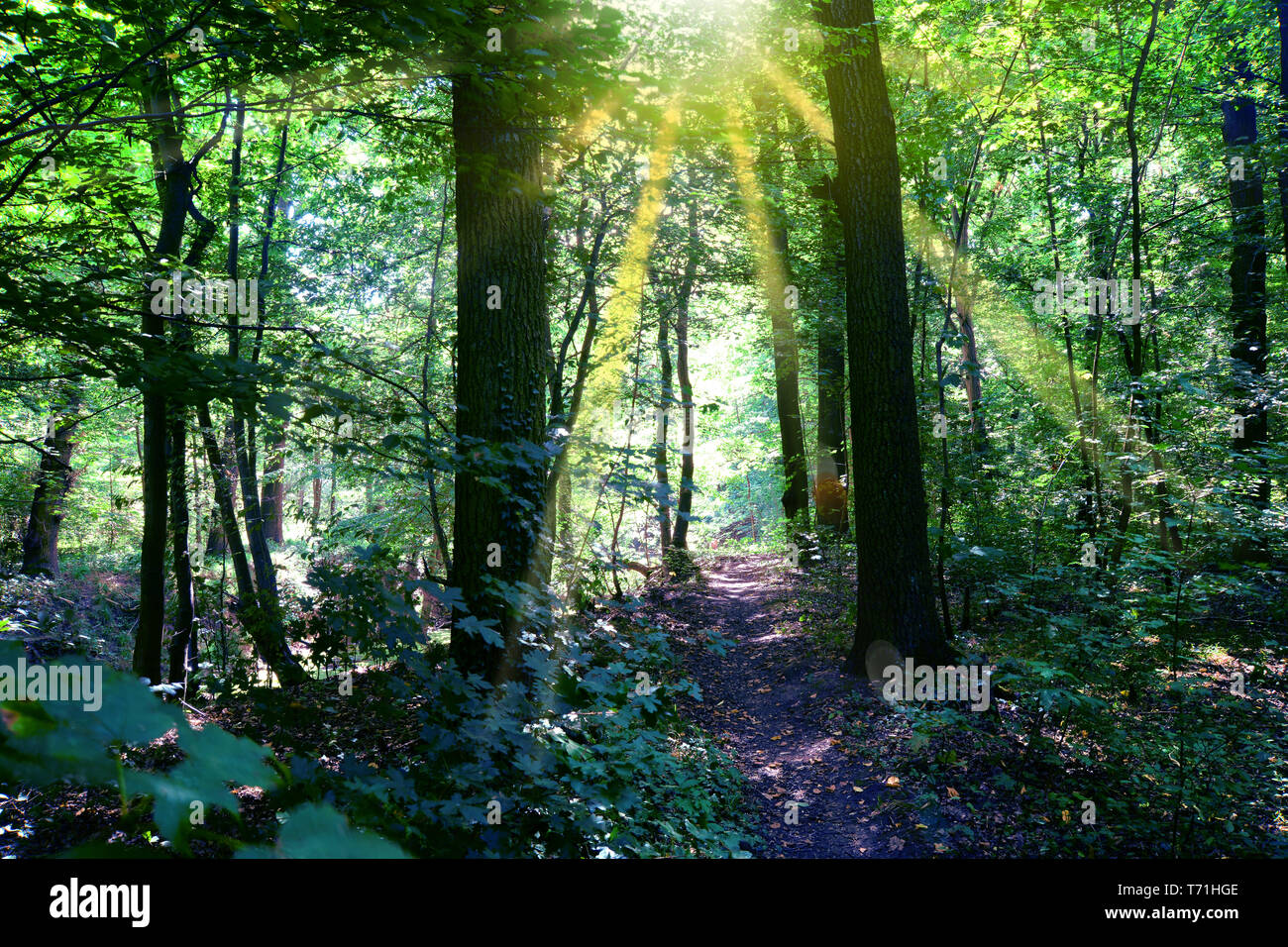 670 High Resolution Stock Photography and Images - Alamy