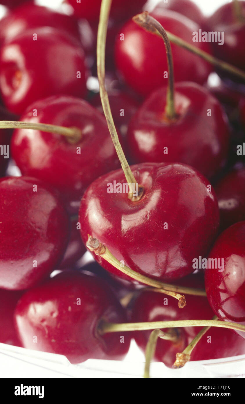 a picture of fresh red cherries Stock Photo - Alamy
