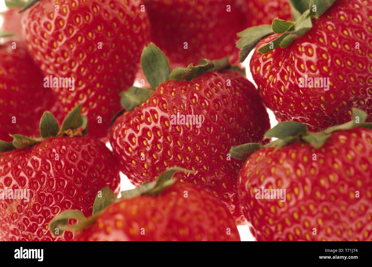 a picture of fresh red strawberries with lots of nutrients Stock Photo ...