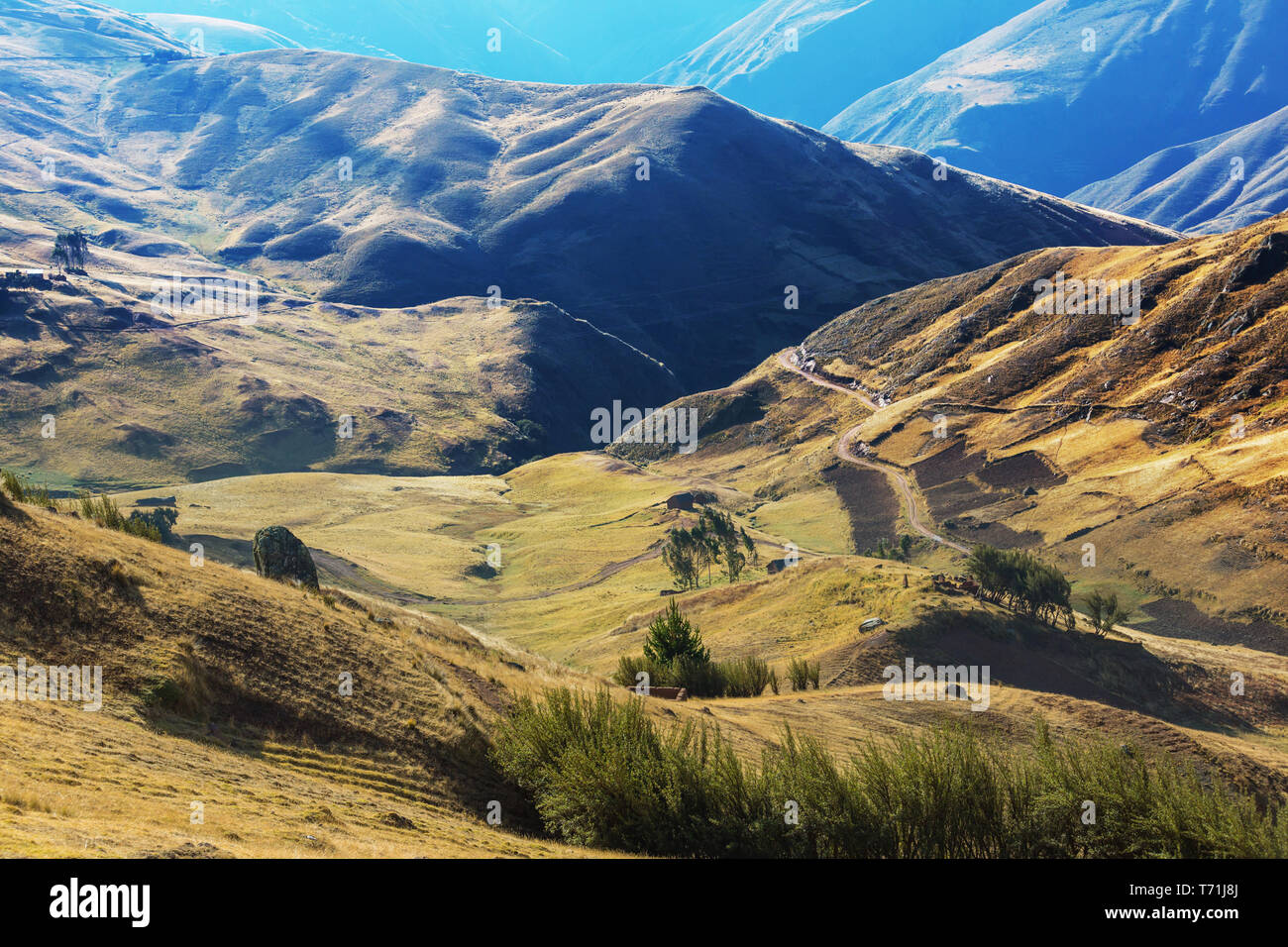 Fields in Peru Stock Photo - Alamy