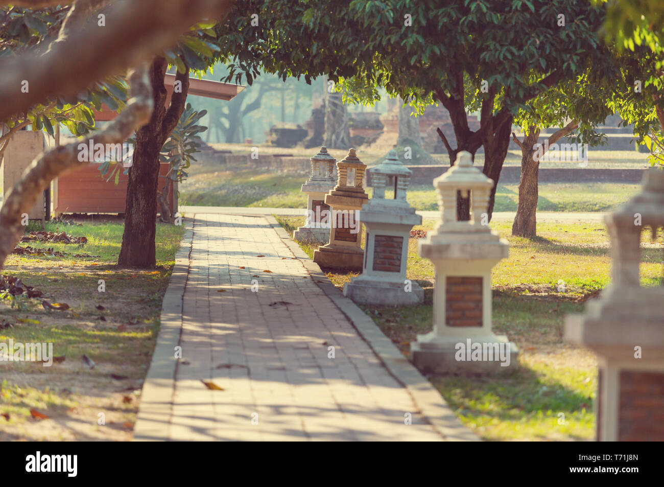Backyard back yard alley hi-res stock photography and images - Alamy