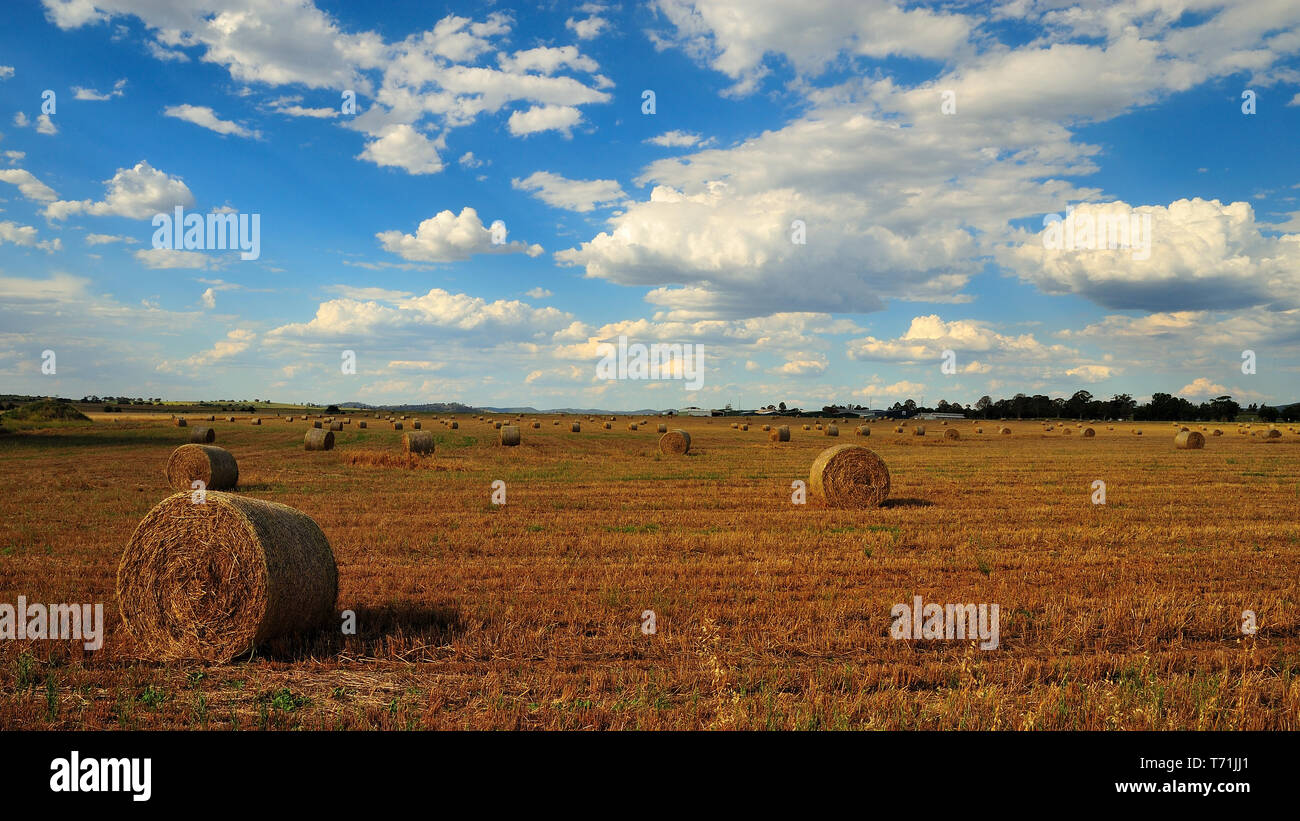 hay bale under blue sky Stock Photo - Alamy