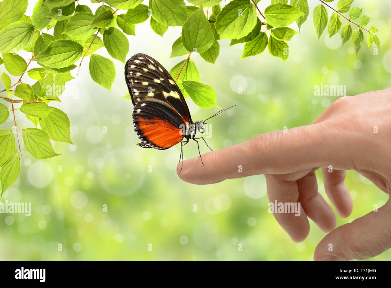 148 hi-res stock photography and images - Alamy