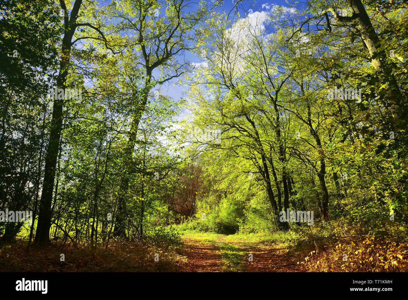 686 hi-res stock photography and images - Alamy