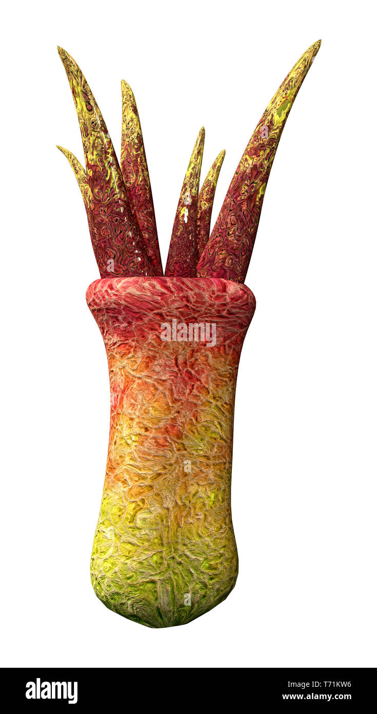 3D rendering of a fantasy alien plant isolated on white background ...